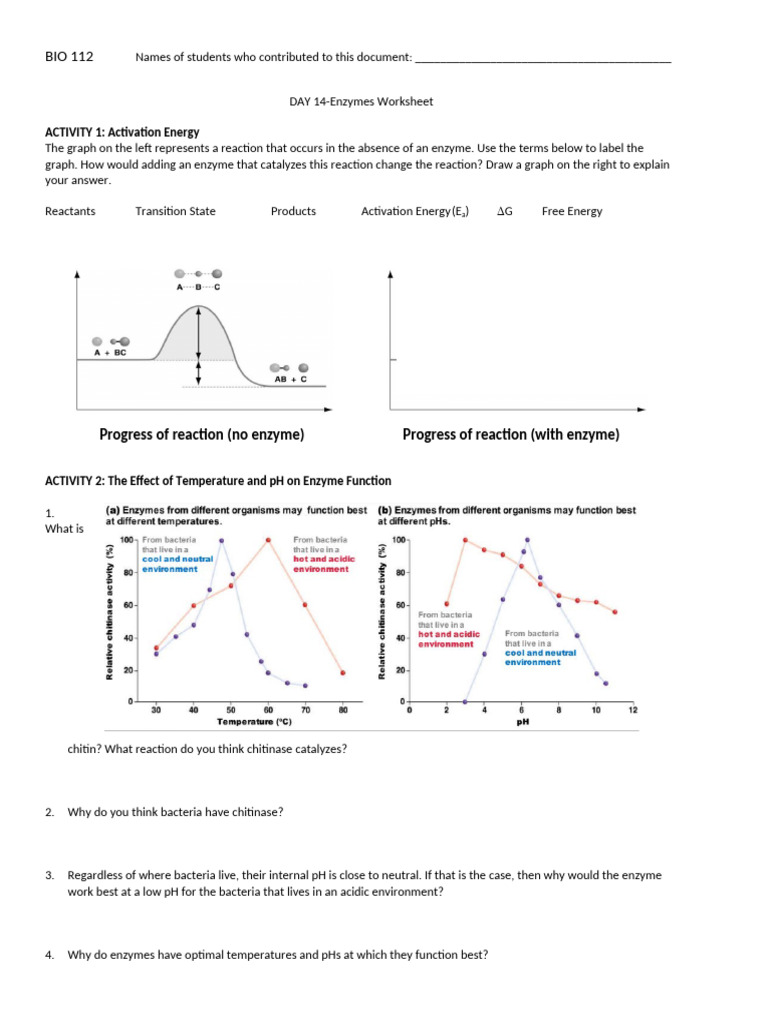 Enzymes and Cellular Regulation Worksheet | PDF | Enzyme | Enzyme Inhibitor