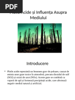Ploaia Acida | PDF