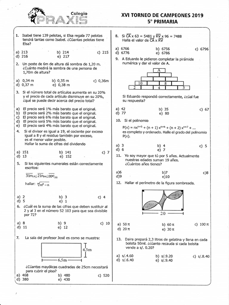 5° Prim-Praxis-2019 | PDF | Aritmética | Matemática Elemental