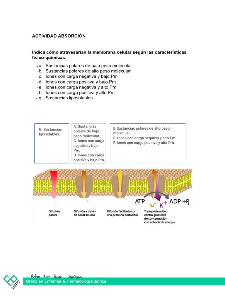 Actividad Absorción - Andrea Aroa Peñate Domínguez | PDF