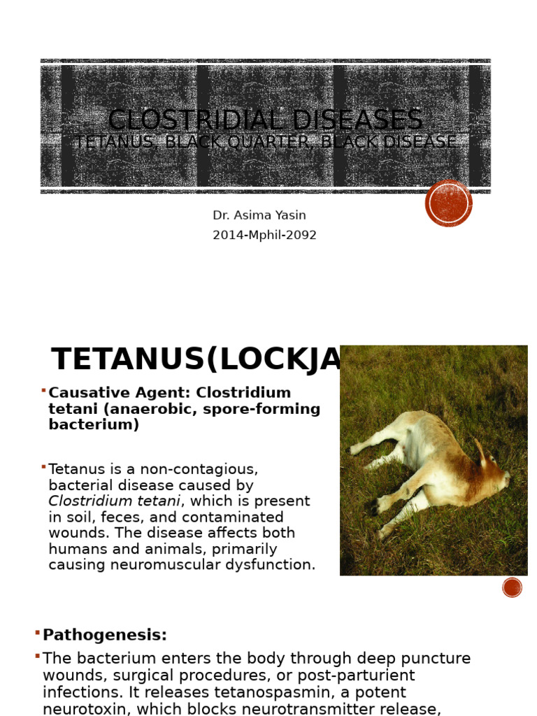 Clostridial Diseases | PDF | Medical Specialties | Diseases And Disorders