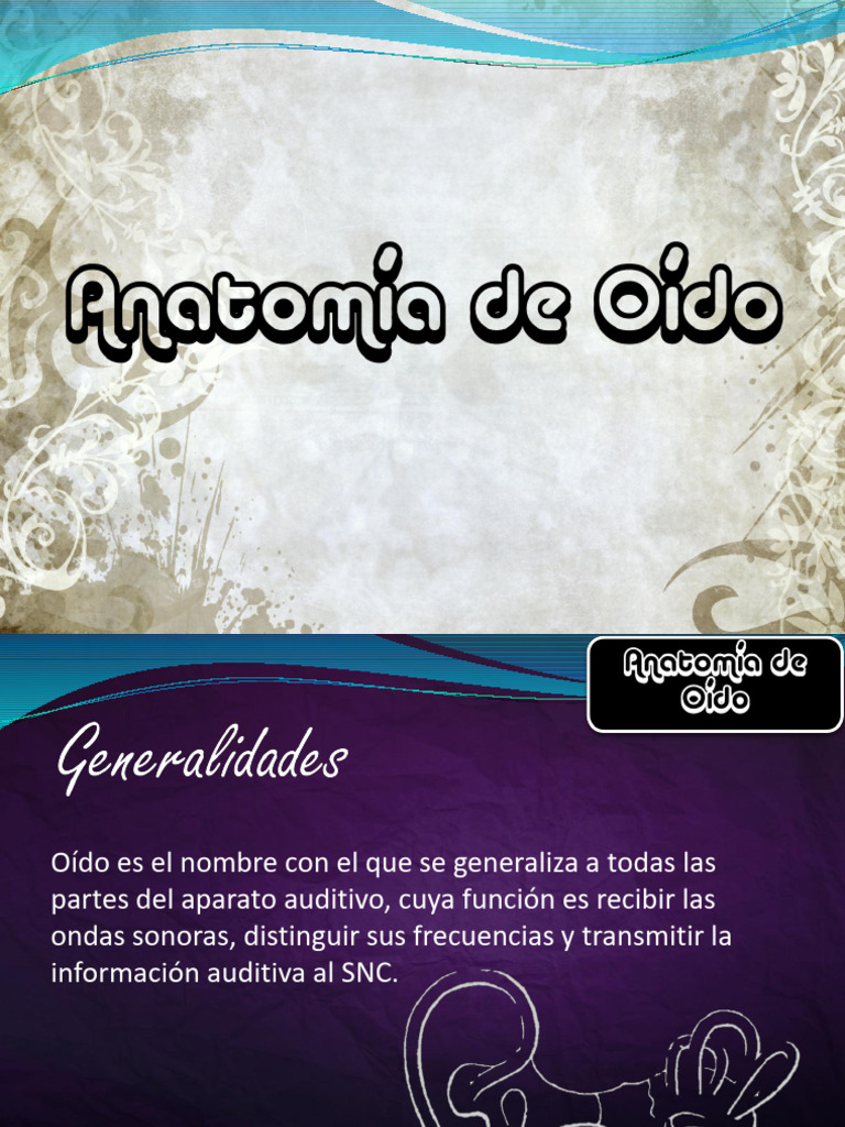 Anatomía del Oído: Estructuras y Funciones | PDF | Oído | Escuchando