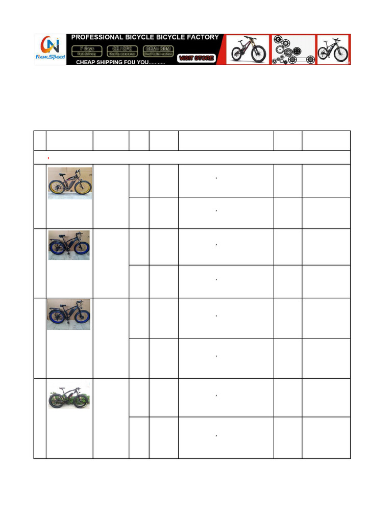 Newspeed Electric Bike Models and Prices | PDF