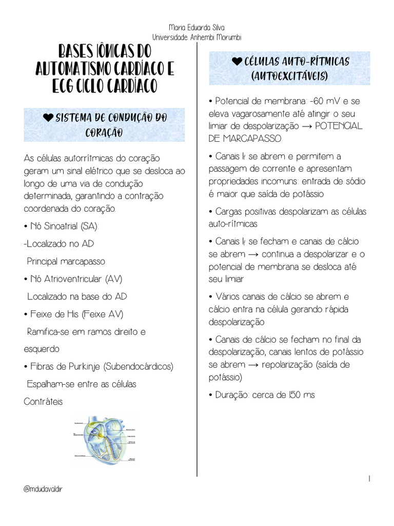 Bases Iônicas Do Automatismo Cardíaco e ECG Ciclo Cardíaco | PDF ...