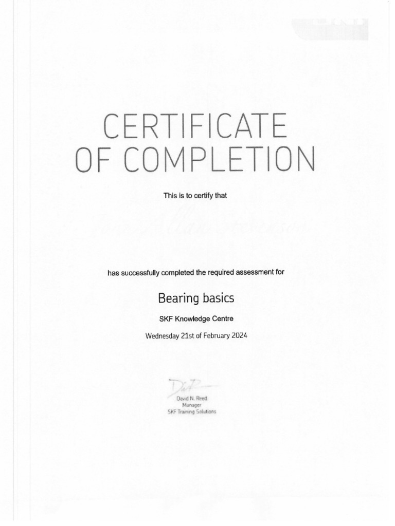 SKF Bearing Basics | PDF