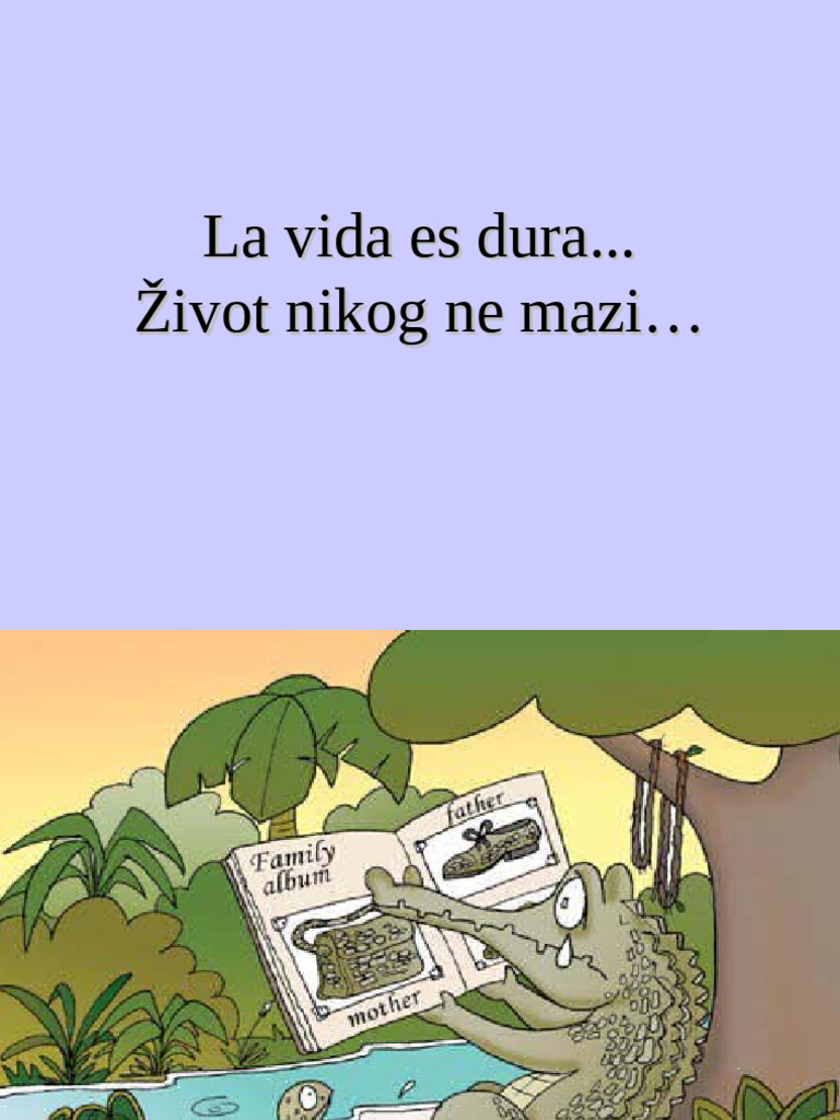 420-Sve Je To Zivot | PDF