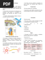 Guia Hine 02 2023 Portugues BRAZIL | PDF | Paralisia cerebral