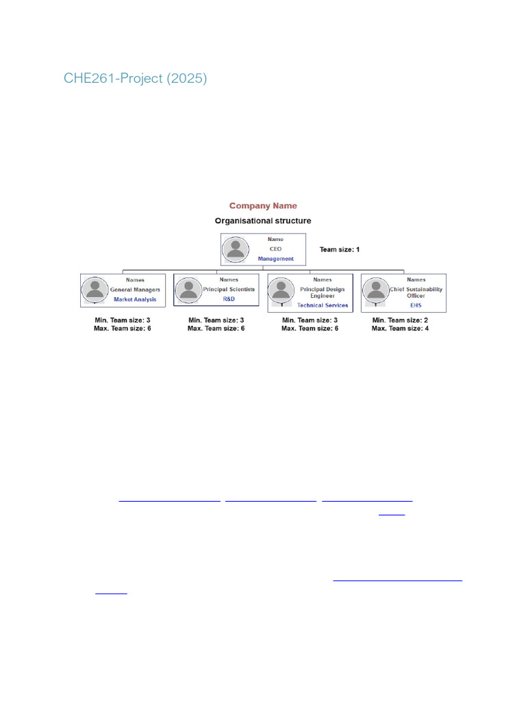 CHE261 Project Rules2025 | PDF | Chemical Substances | Materials