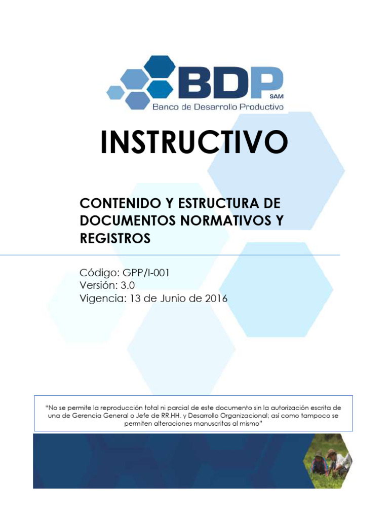 GPP-I-01 Contenido y Estructura de Documentos Normativos y Registros 3.0 | PDF | Business ...