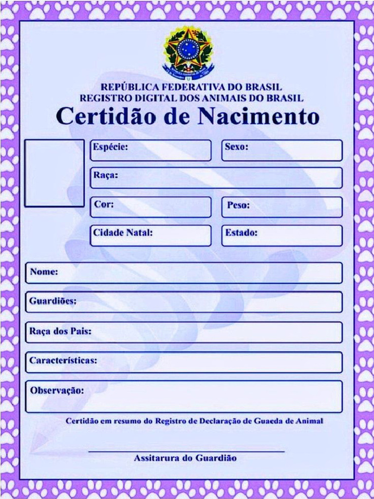 PDF Registro 2 Roxo | PDF