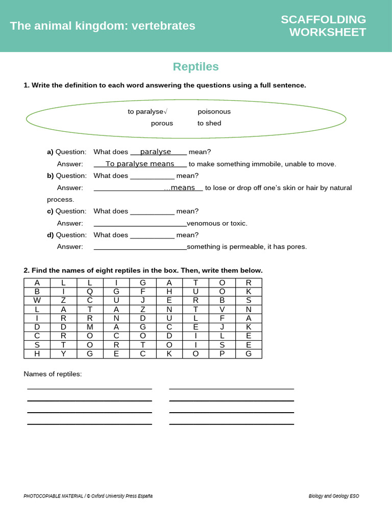 Vertebrates Scaff Worksheet Sol Reptiles | PDF | Zoology | Reptile