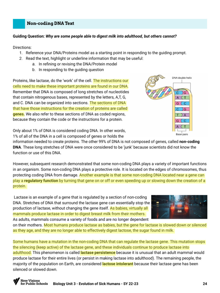 Kami Export - Evan Shepherd - BIO - U3 - Evolution of Sick Humans - L1 ...