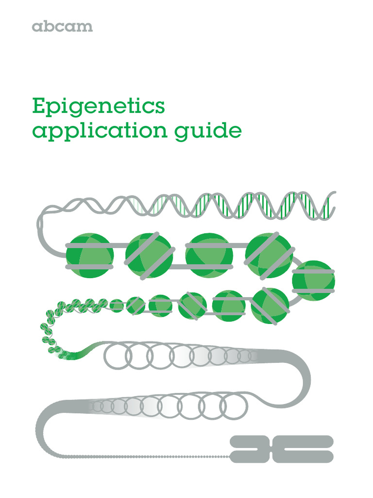 epigenetics-application-guide | PDF | Regulation Of Gene Expression ...