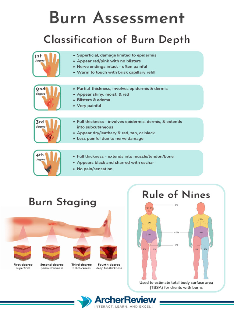 Burn Depth Classification and Staging | PDF