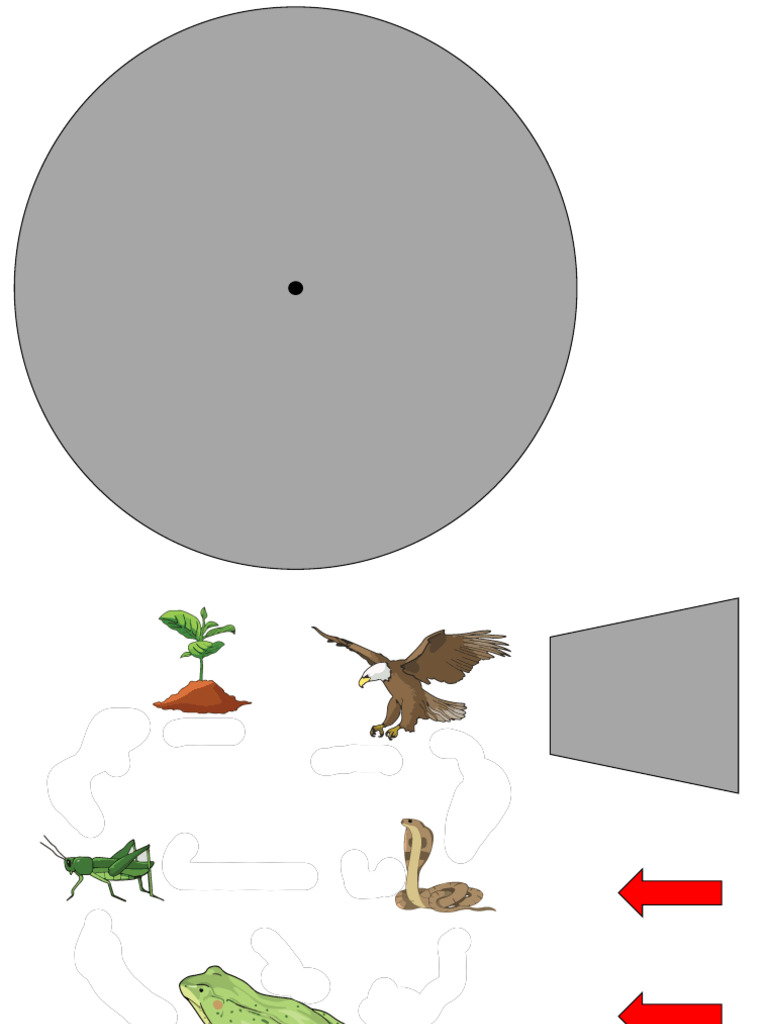 Food Chain Wheel 4 Grade Wheel | PDF