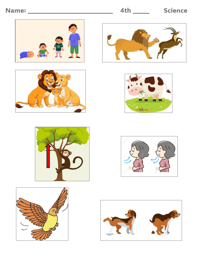 Science 4th Grade Characteristics of Life | PDF