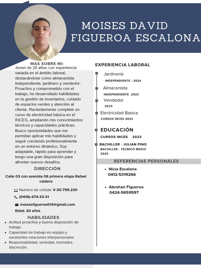 curriculum moises | PDF