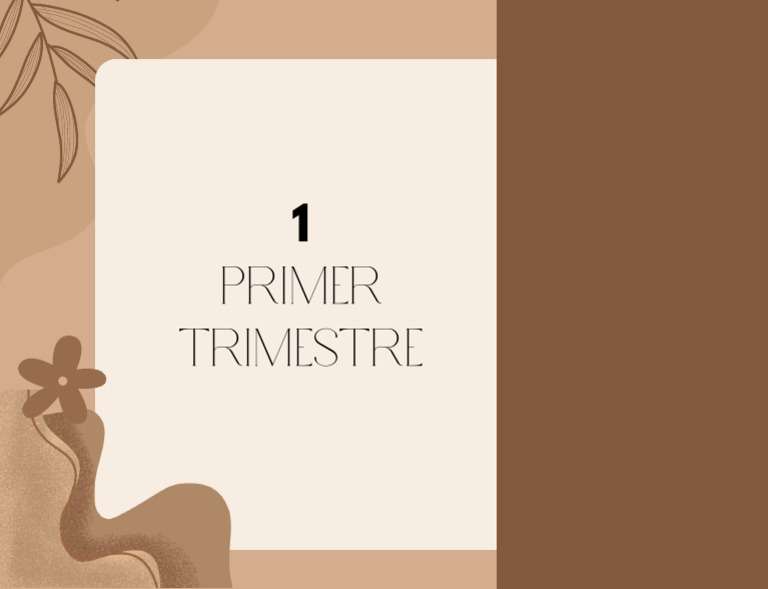 Primer Trimestre | PDF