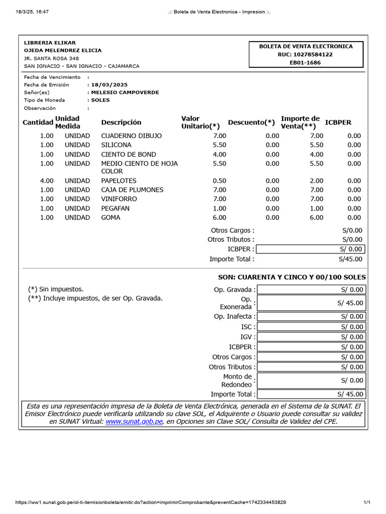 Boleta de Venta Electronica - Impresion | PDF