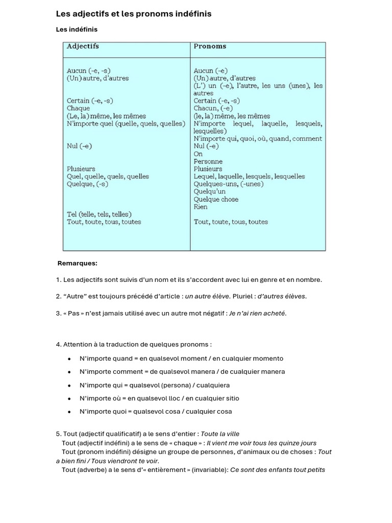 Adjectifs et pronoms indéfinis expliqués | PDF