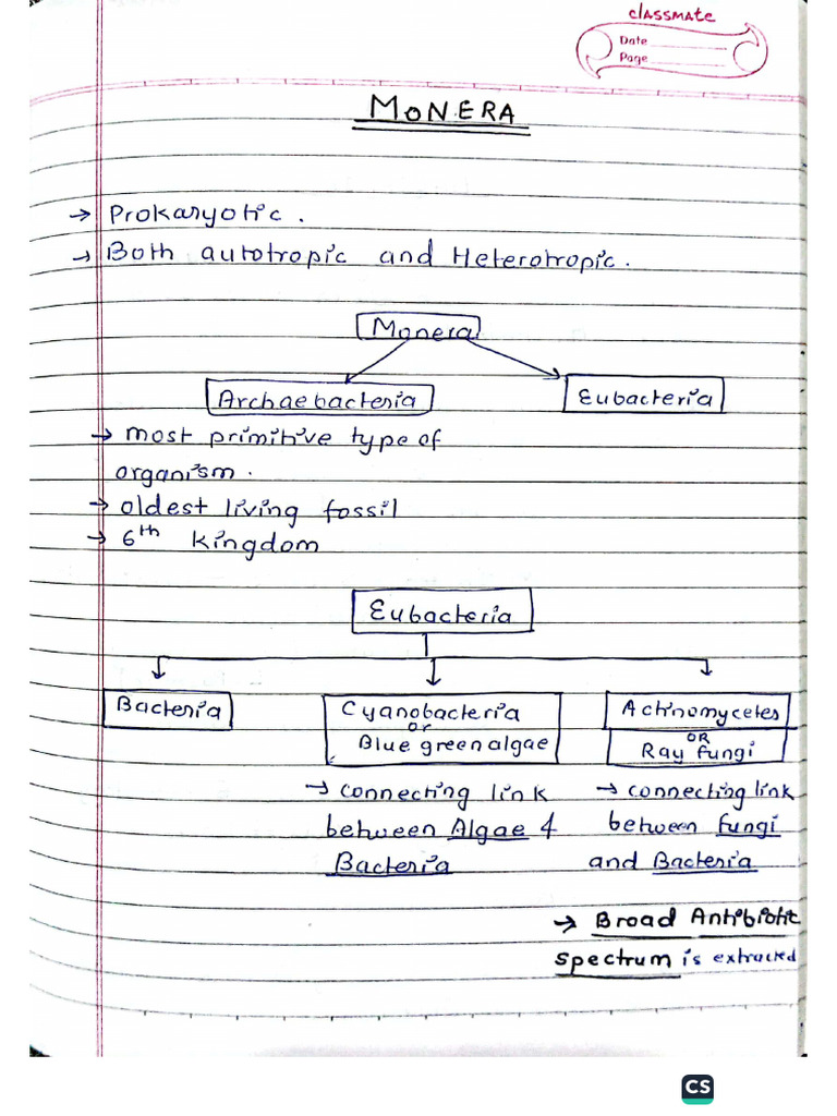 Phylum Monera. | PDF