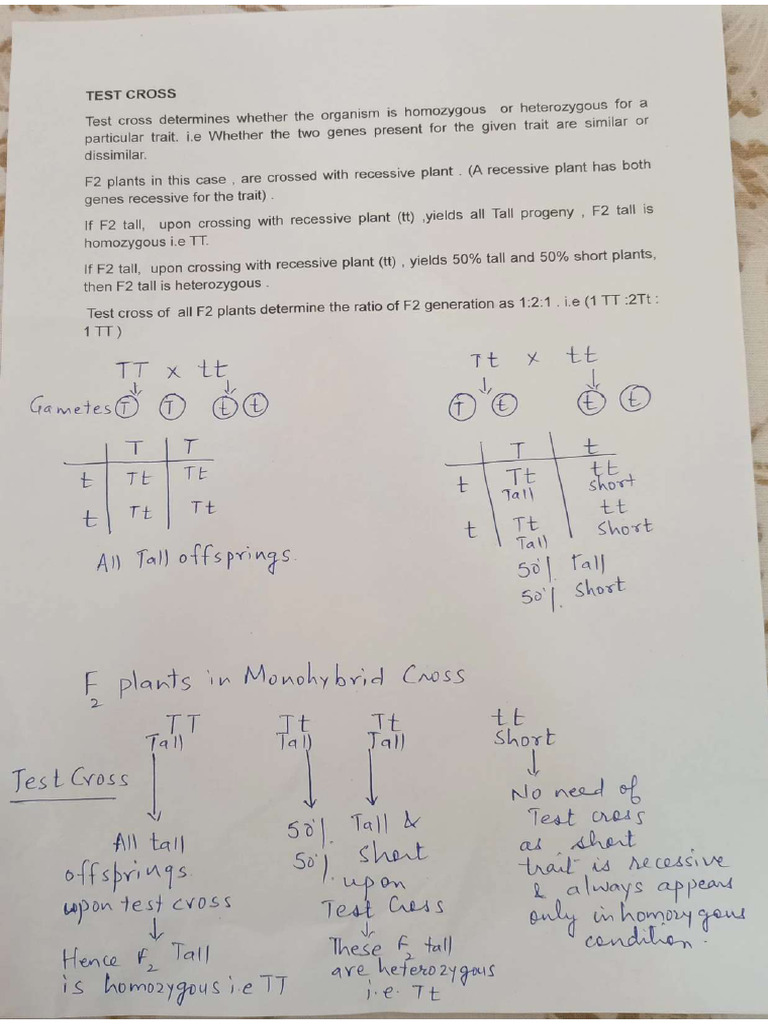 Heredity 2 (Test Cross - Sex Determination | PDF
