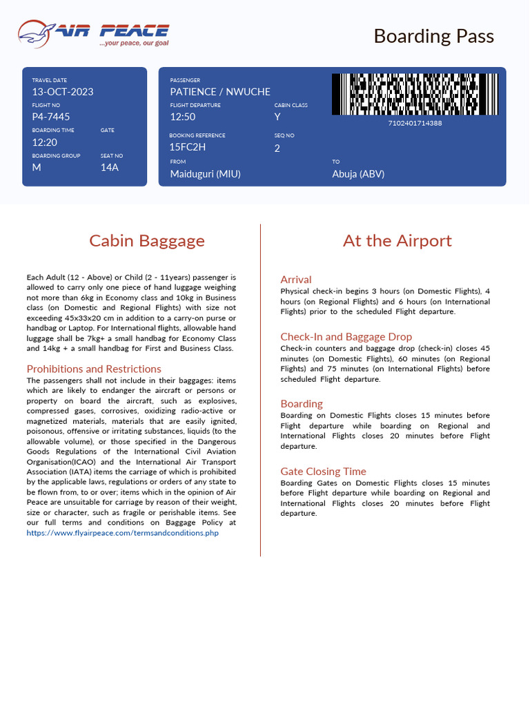 Boarding Pass and Baggage Guidelines | PDF | Baggage | Aviation