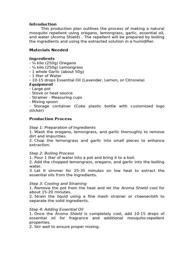 Production Plan | PDF