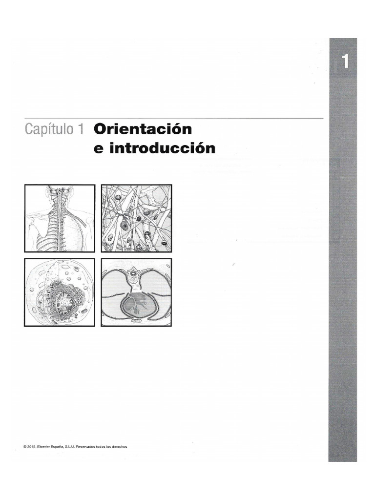 1era Parte Practica - Merged | PDF