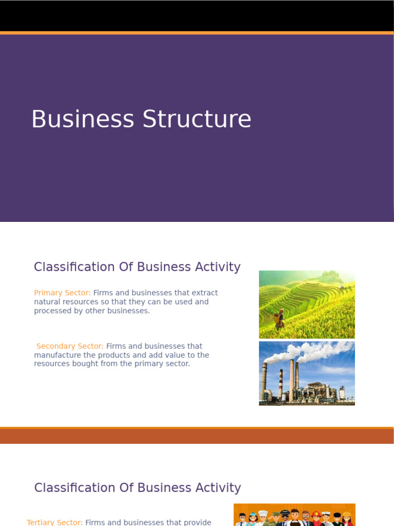 Understanding Business Structures and Sectors | PDF | Franchising ...