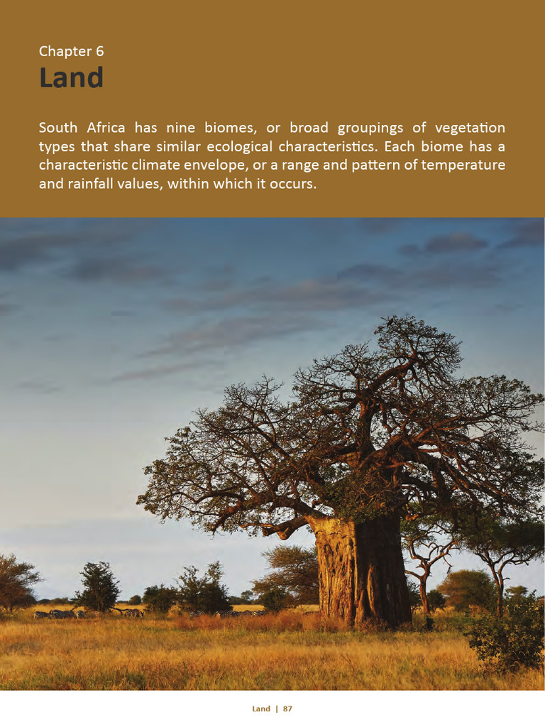 environmentoutlook_chapter6 (1) | PDF | Agriculture | Forests