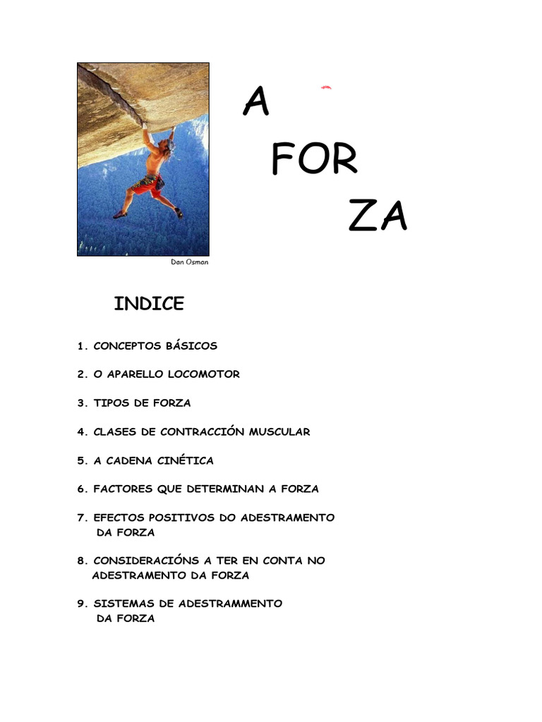 T Forza | PDF