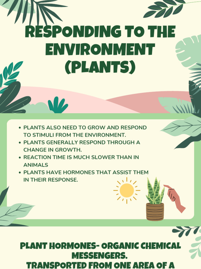 Responding To The Environment (Plants) | PDF | Auxin | Root