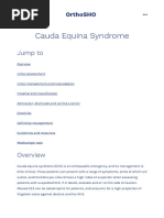 National Pathway for Cauda Equina Syndrome | PDF | Magnetic Resonance ...