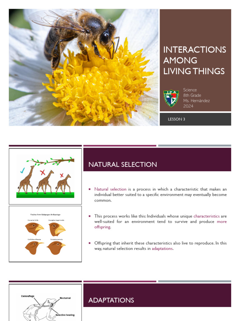 Natural Selection and Ecosystem Interactions | PDF | Predation ...