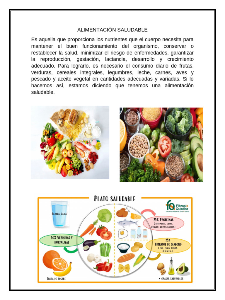 Alimentación Saludable | PDF