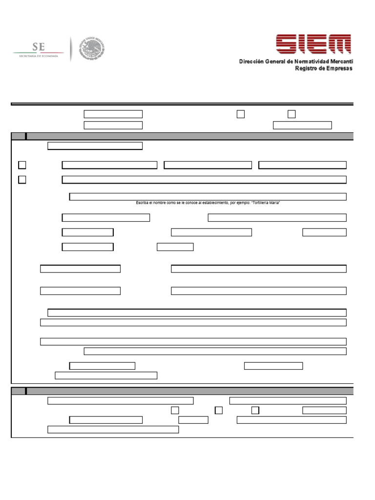 FORMATO SIEM 2025 Editable Cmic VC | PDF | Business | Salario