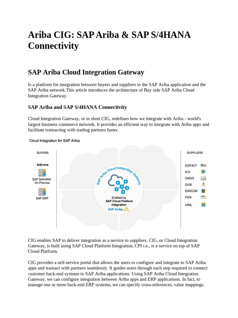 SAP Ariba CIG Integration Overview | PDF | Cloud Computing | Supply Chain