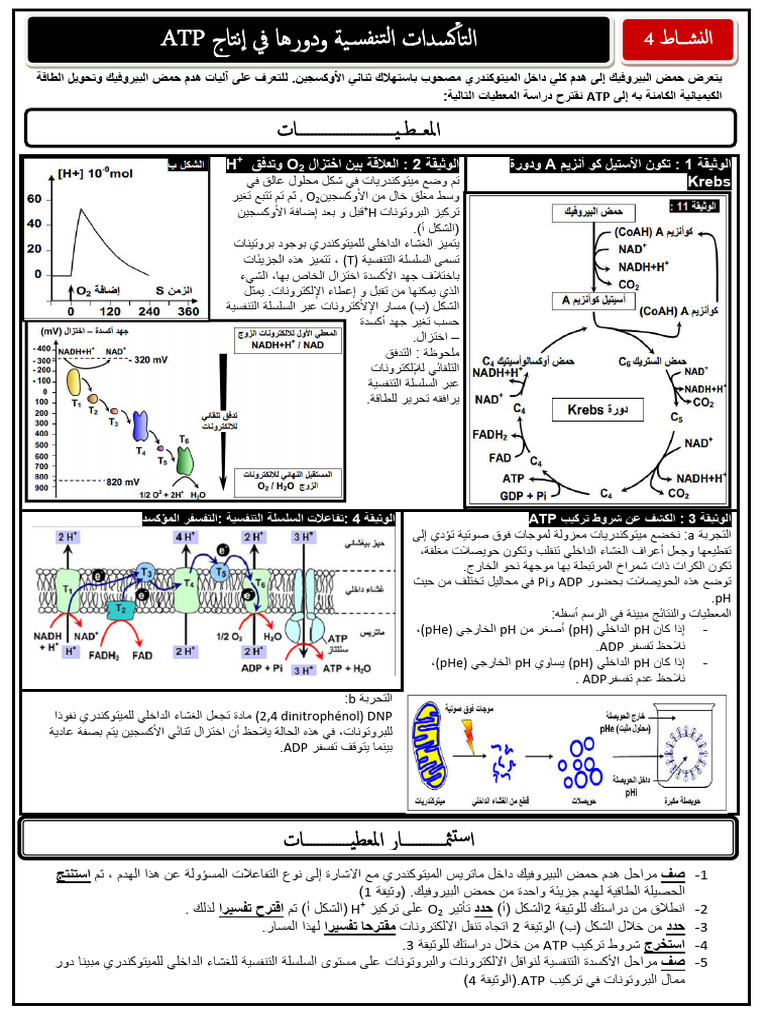 altaksdat-altnfsia-odorha-fi-intaj-atp-anshta-1 | PDF