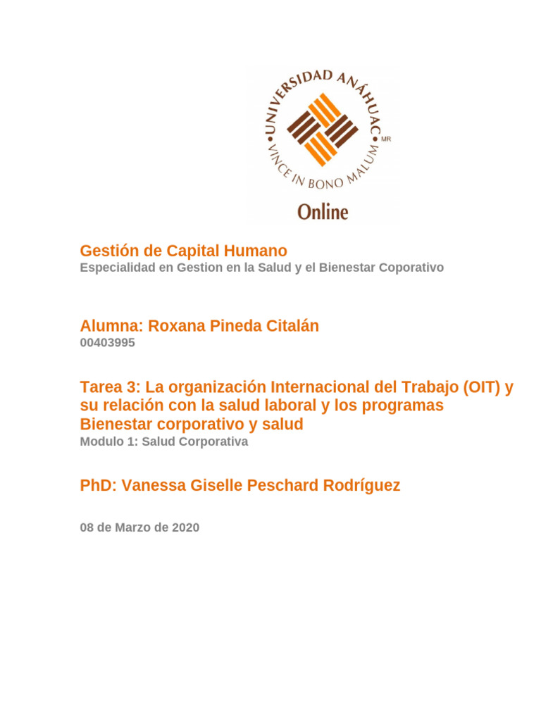 La Oit y Su Relacion Con La Salud Laboral y Programas | PDF | Organización Internacional del ...