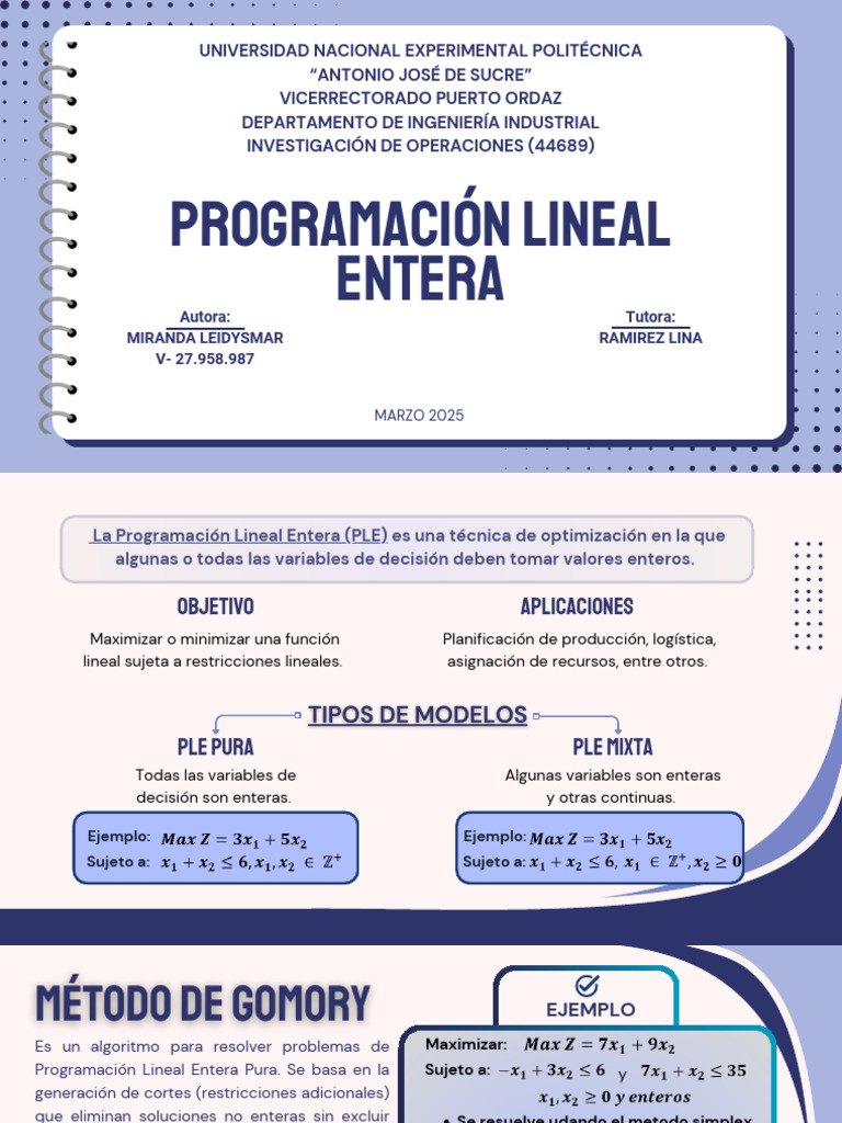 Programación Lineal Entera: Métodos y Aplicaciones | PDF | Programación ...