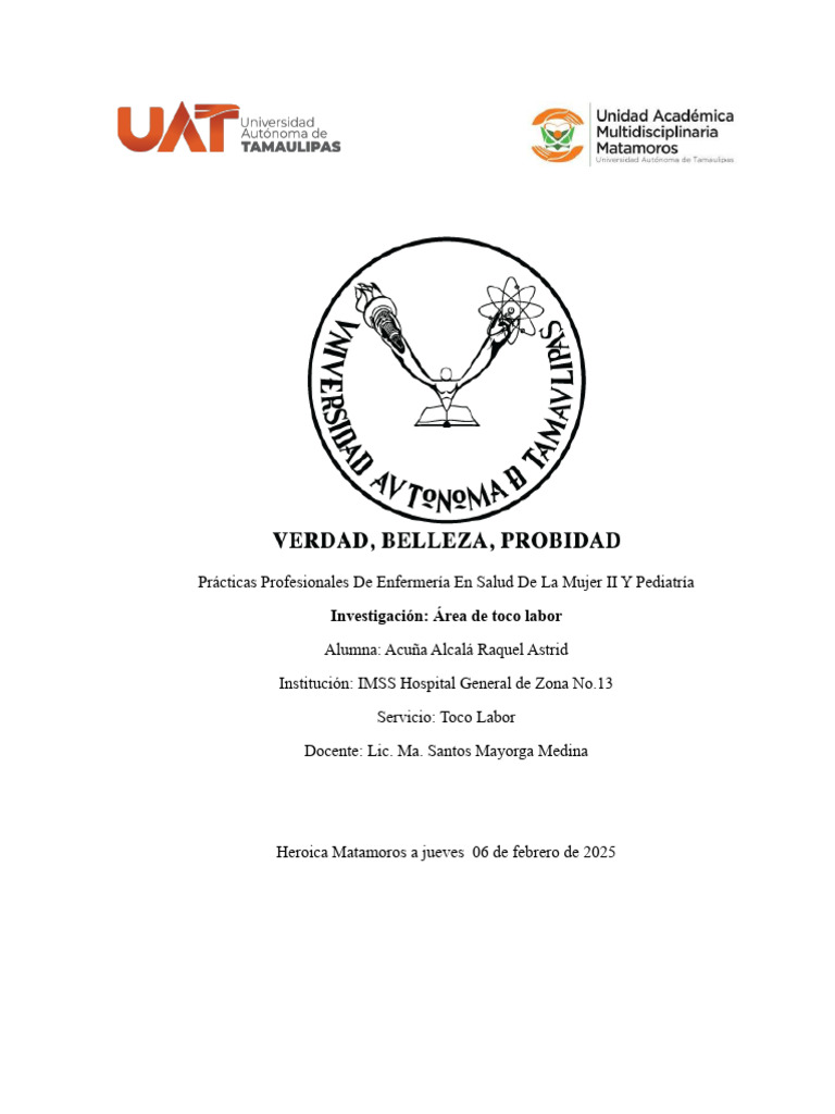 Area Toco Labor | PDF | Parto | Partería