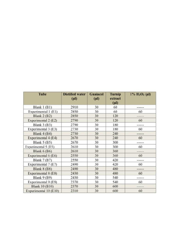 Biochemistry Lab Report Part - B | PDF | Active Site | Enzyme