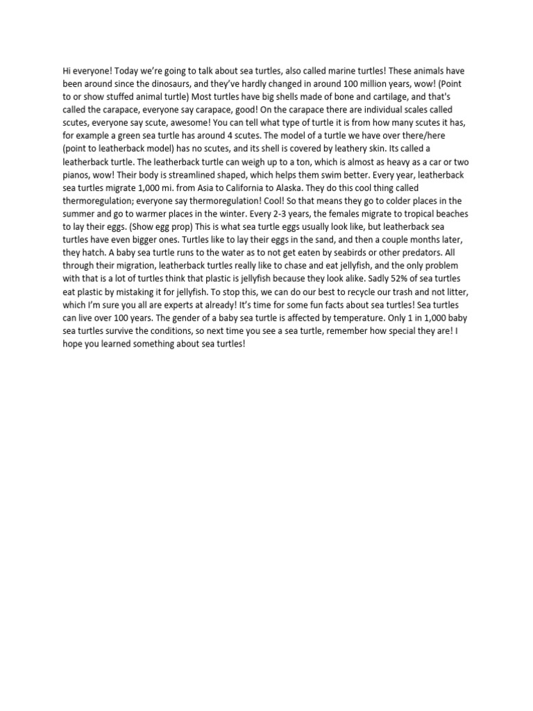 Sea Turtle Script | PDF