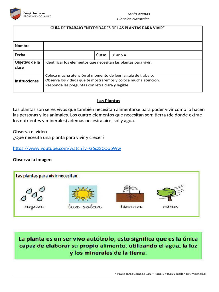 Necesidades Vitales de las Plantas | PDF | Plantas