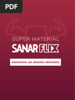 Anatomia da Região Inguinal: Estruturas e Funções | PDF | Testículo ...