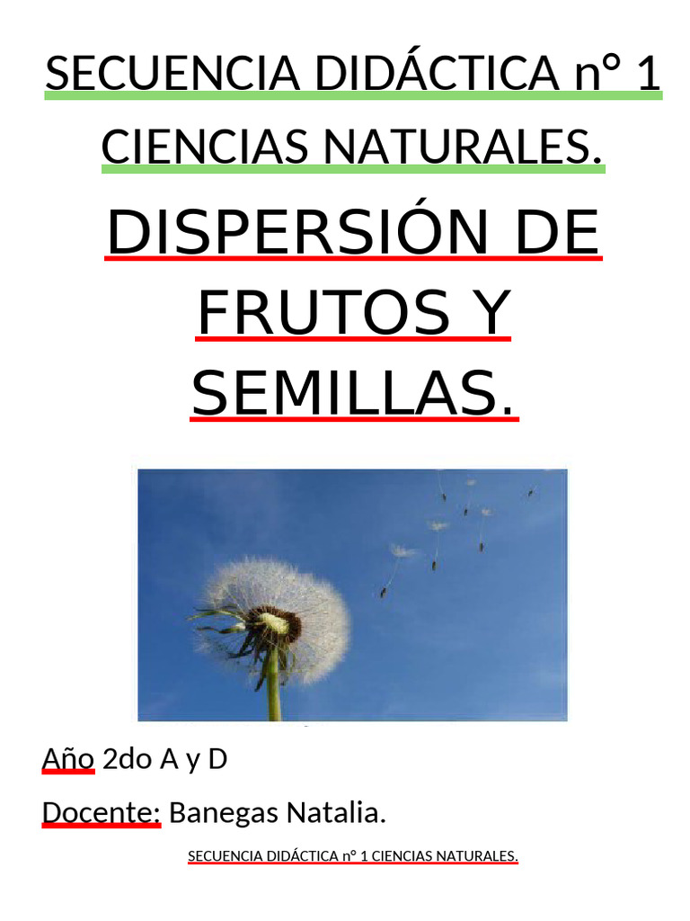 Dispersion de Frutos y Semillas Segundo | PDF | Semilla | Plantas