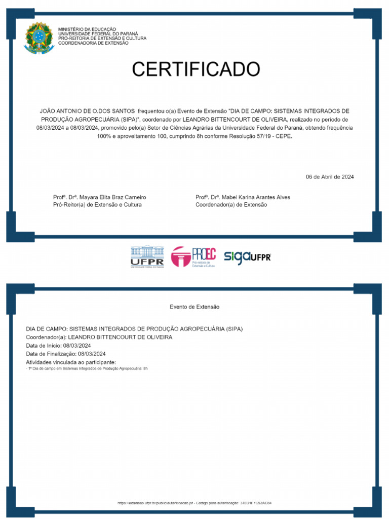 Certificado UFPR | PDF