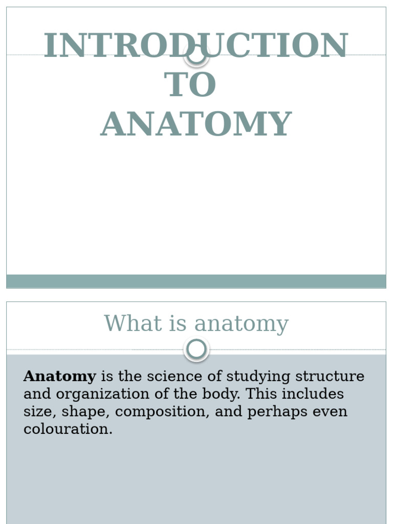 Introduction To Anatomy | PDF