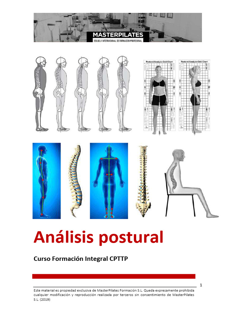 Guia Analisis Postural 2 | PDF | La columna vertebral | Rodilla